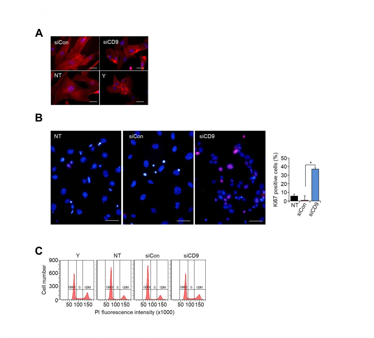 PAYWALLED: CD9 induces cellular senescence and aggravates ...